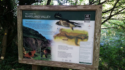 Gone for a walk....: Part 1, Welcombe Mouth to Morwenstow