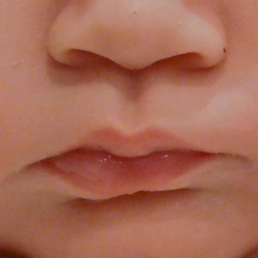 No sólo comen y duermen - El blog de los niños y de Mallorca