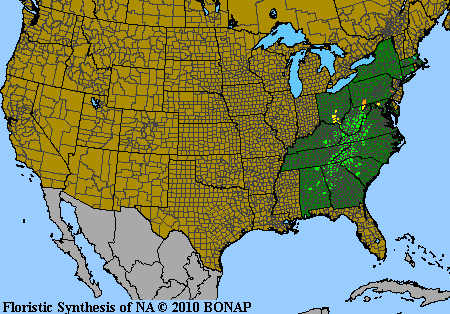 The Buckeye Botanist: Flame Azalea (Rhododendron calendulaceum)