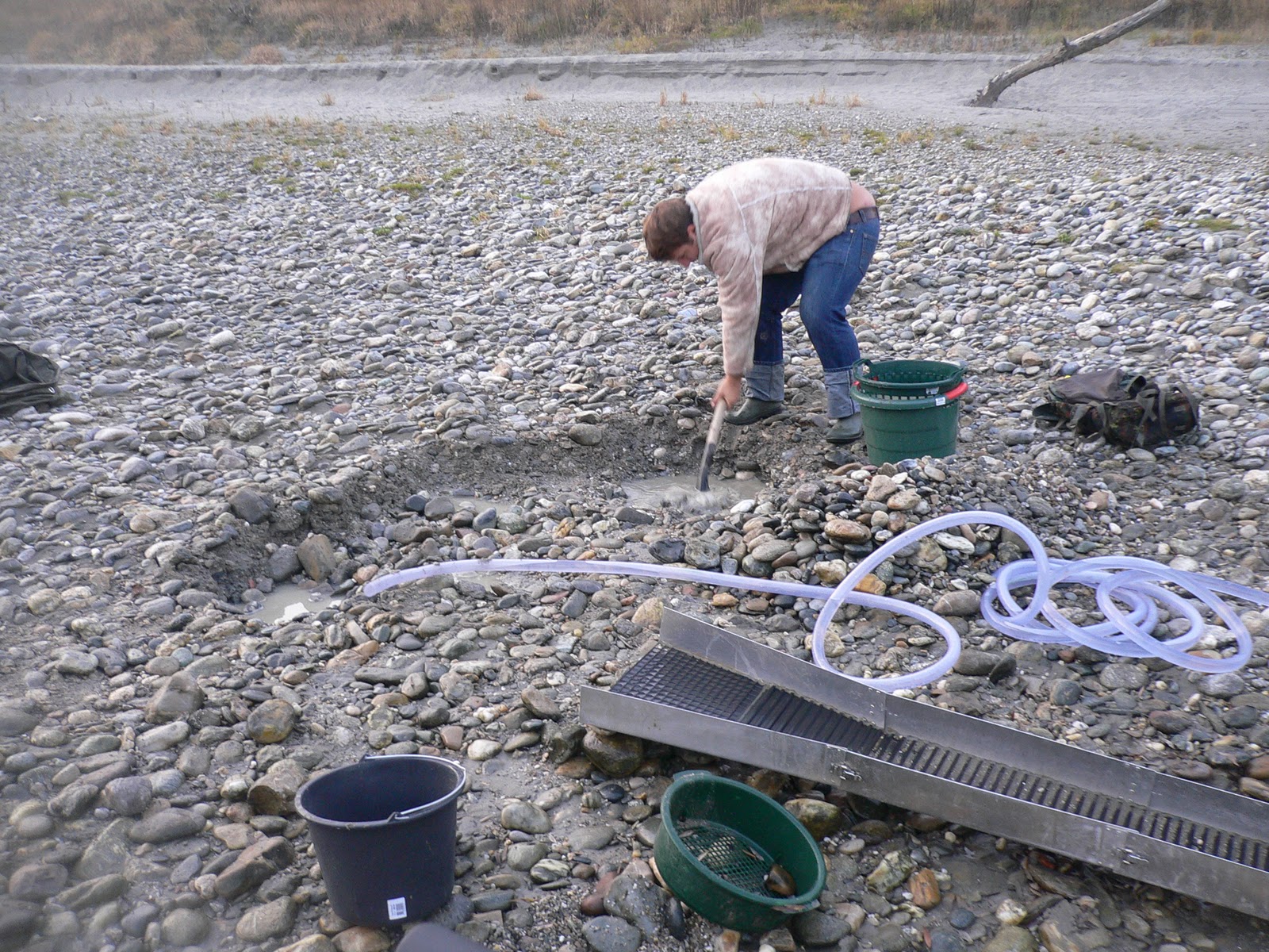 Freiheit durch Gold : Goldwaschen Inn