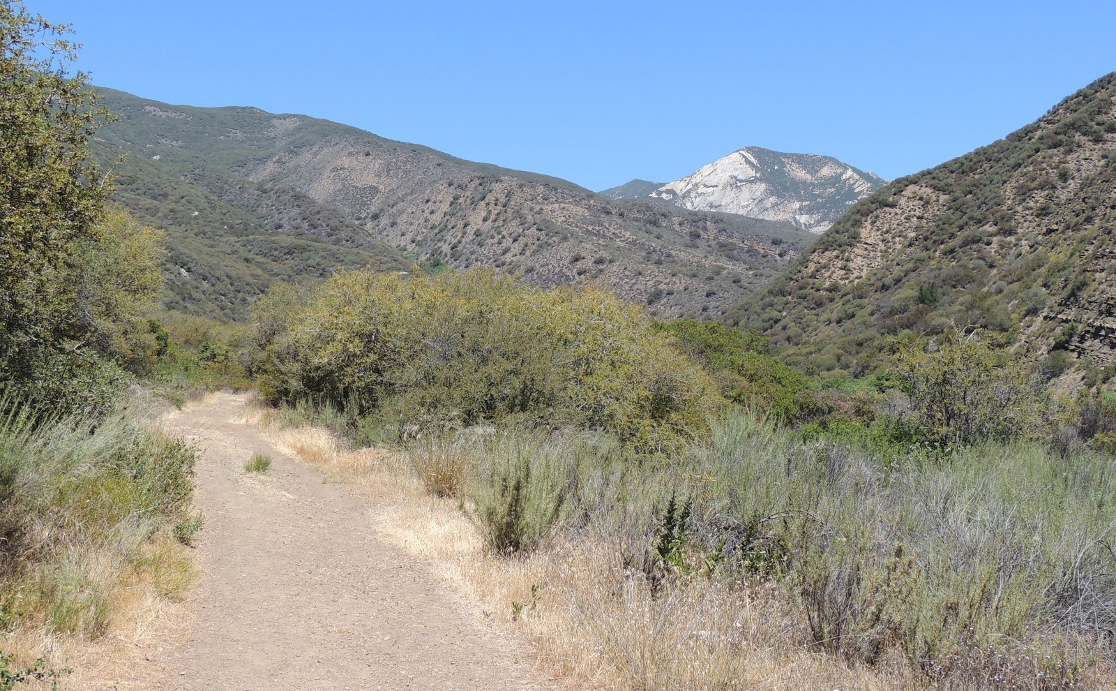 1000 Hikes in 1000 Days: Day 915: Matilija Falls - Bald Hills Trail