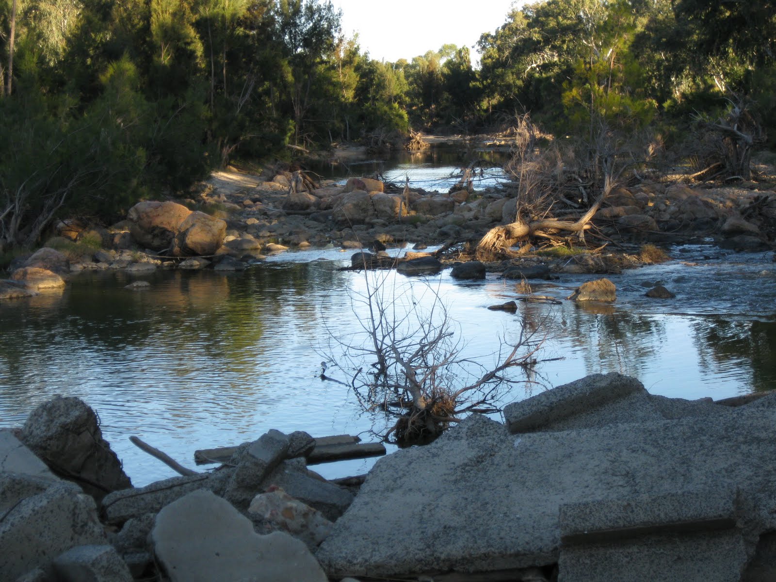 Robin's Double Life: The Old Crossing over the Maranoa River