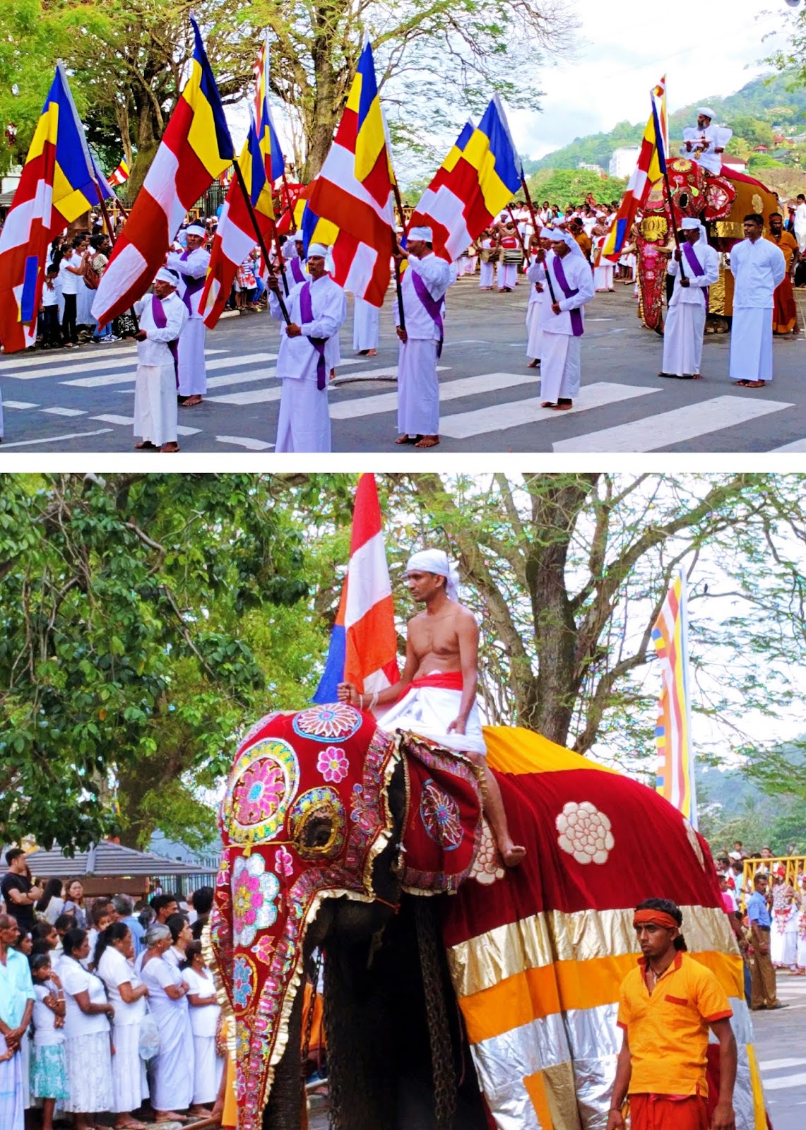 Bill's Excellent Adventures: Sri Lanka V