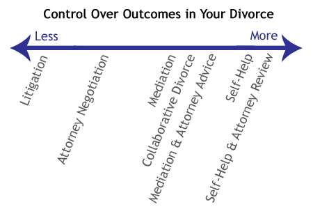 Starting the Divorce Process: Part 1 - You have Options!