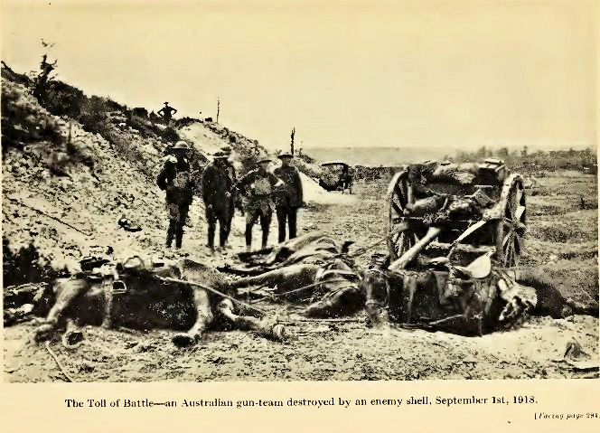 Roads to the Great War: Images of Australians on the Western Front