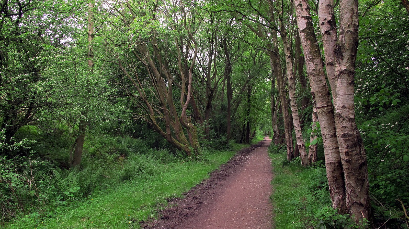 Two Wheels and a Camera: Biddulph Valley Way