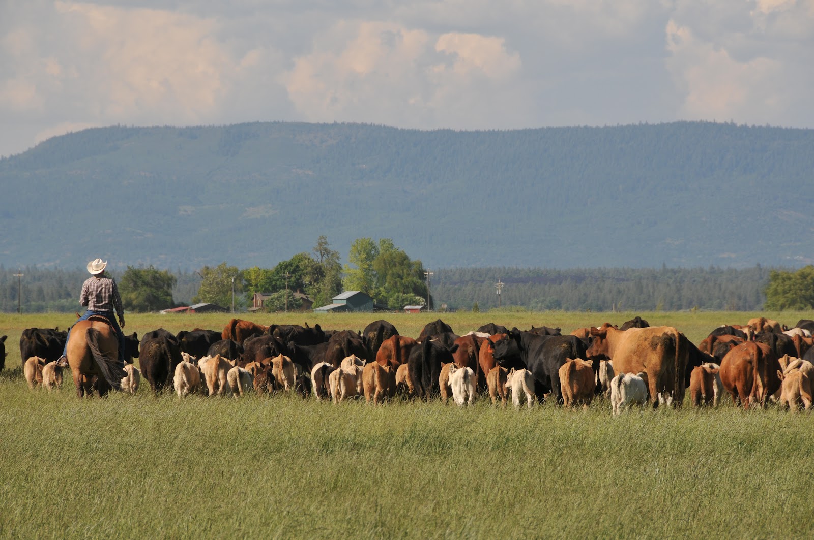 Agriculture & Rural Use of Land - APHG Country Portfolio
