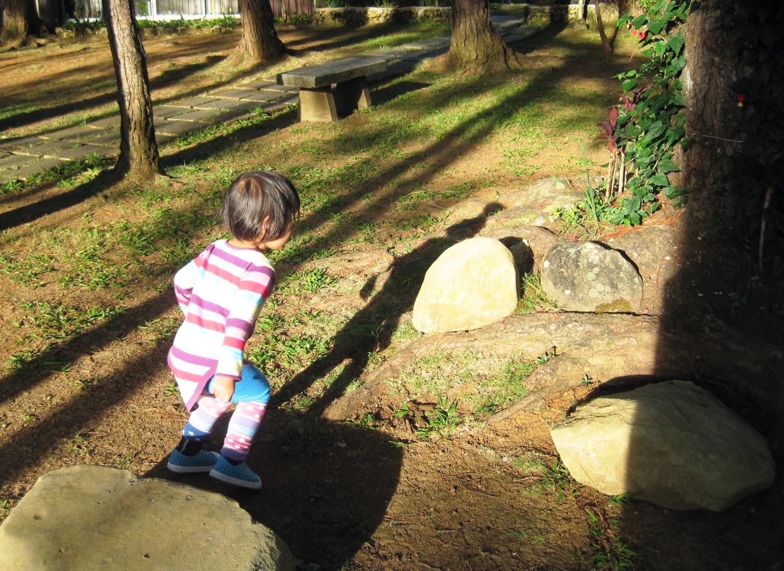 Brookside Baby: Jump shots