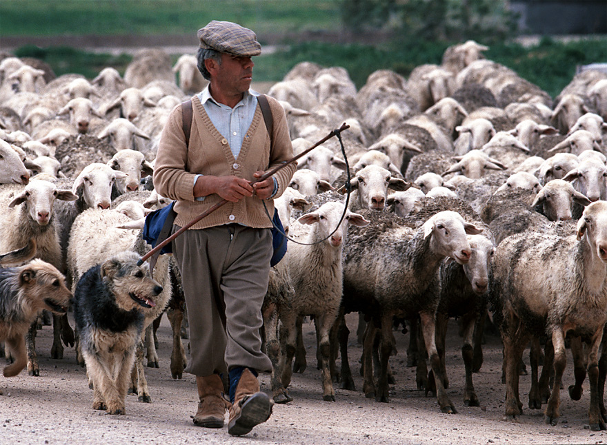 God's Will: Pastoring Related Posts - January 14