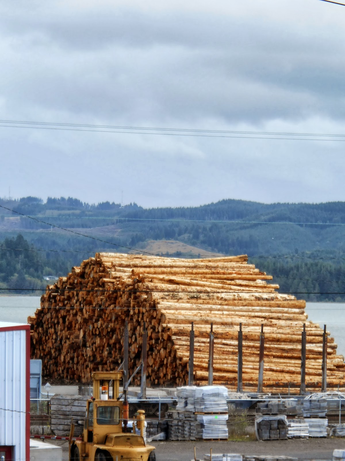 Ramblings of Roamers: The Oregon Dunes, Myrtlewood, Coos Bay, The ...