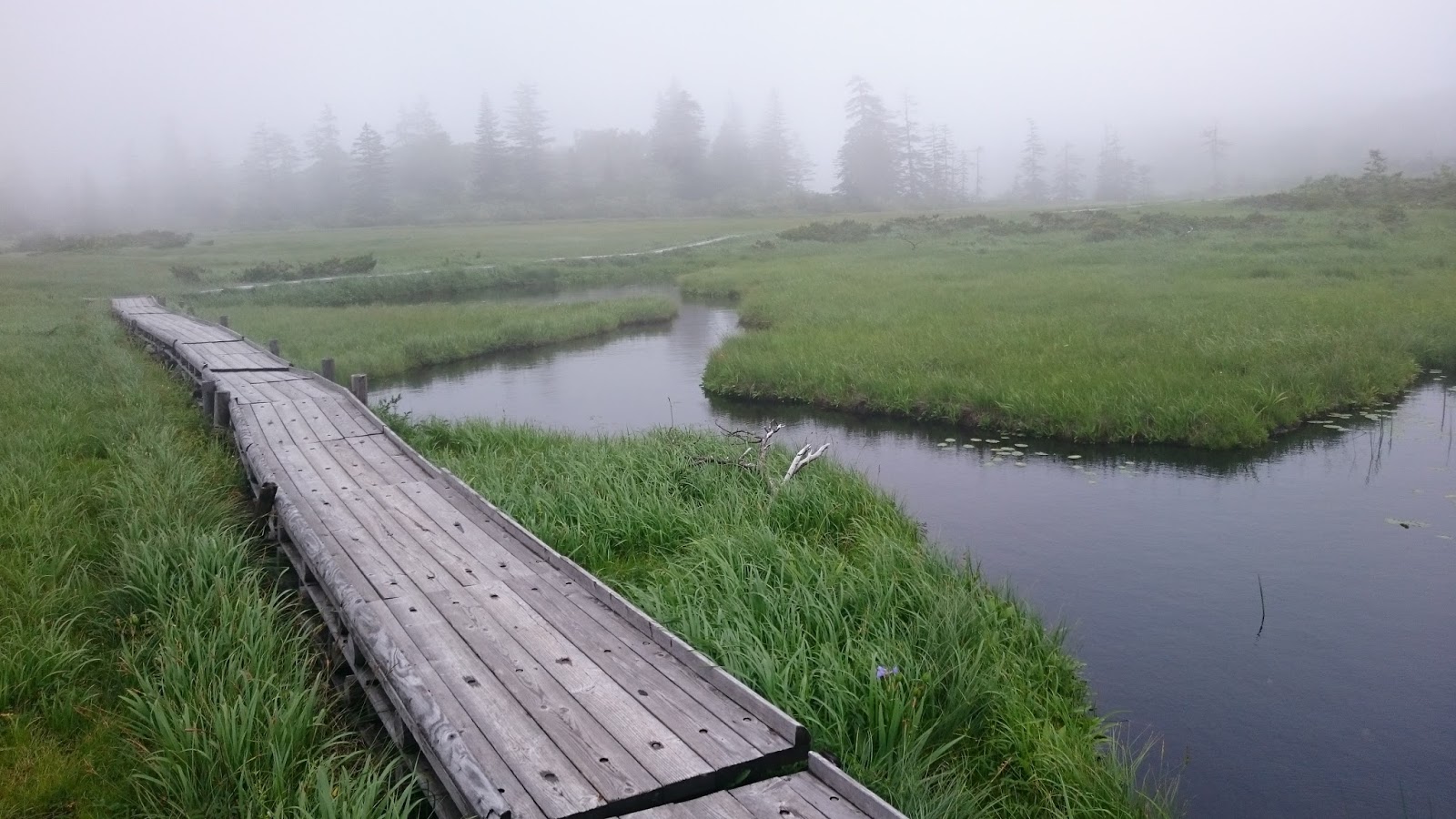 talk-hokkaido: Shinsen-numa Marsh 2