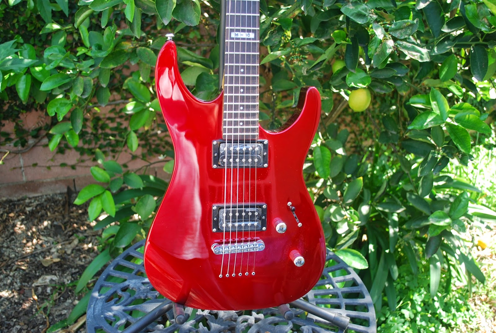 Rex and the Bass: 2014 ESP LTD M-10 Electric Guitar Review