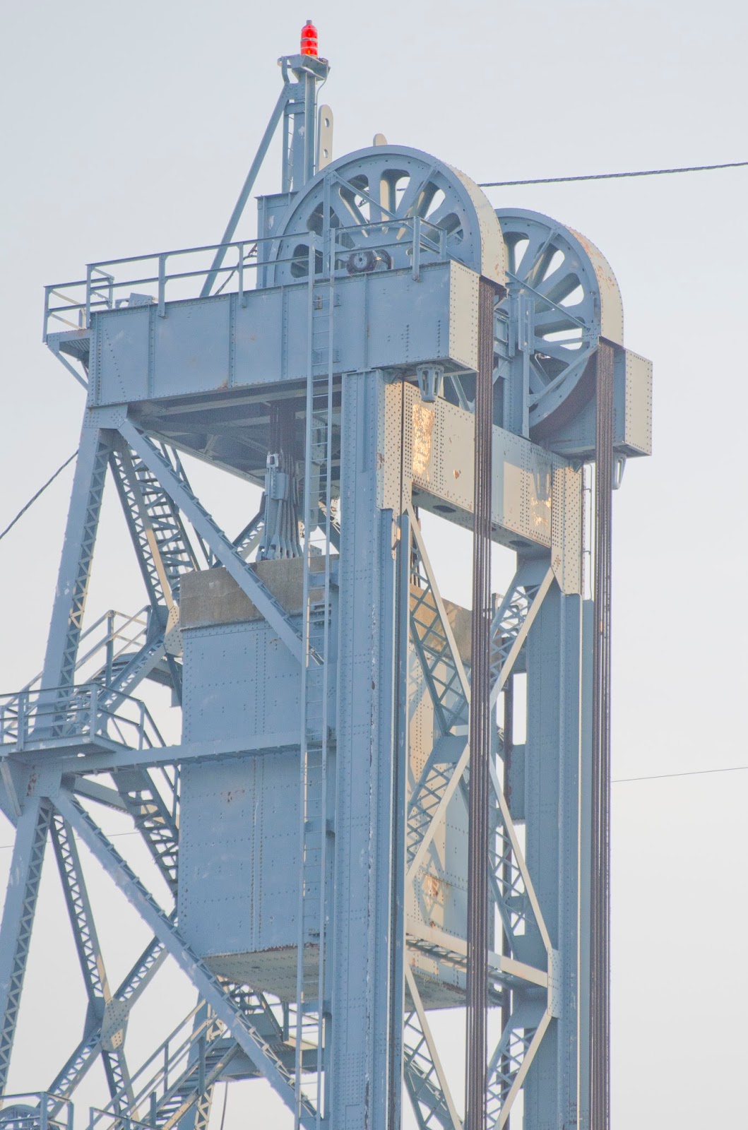 Urban Wildlife Guide: Hackensack River Ride