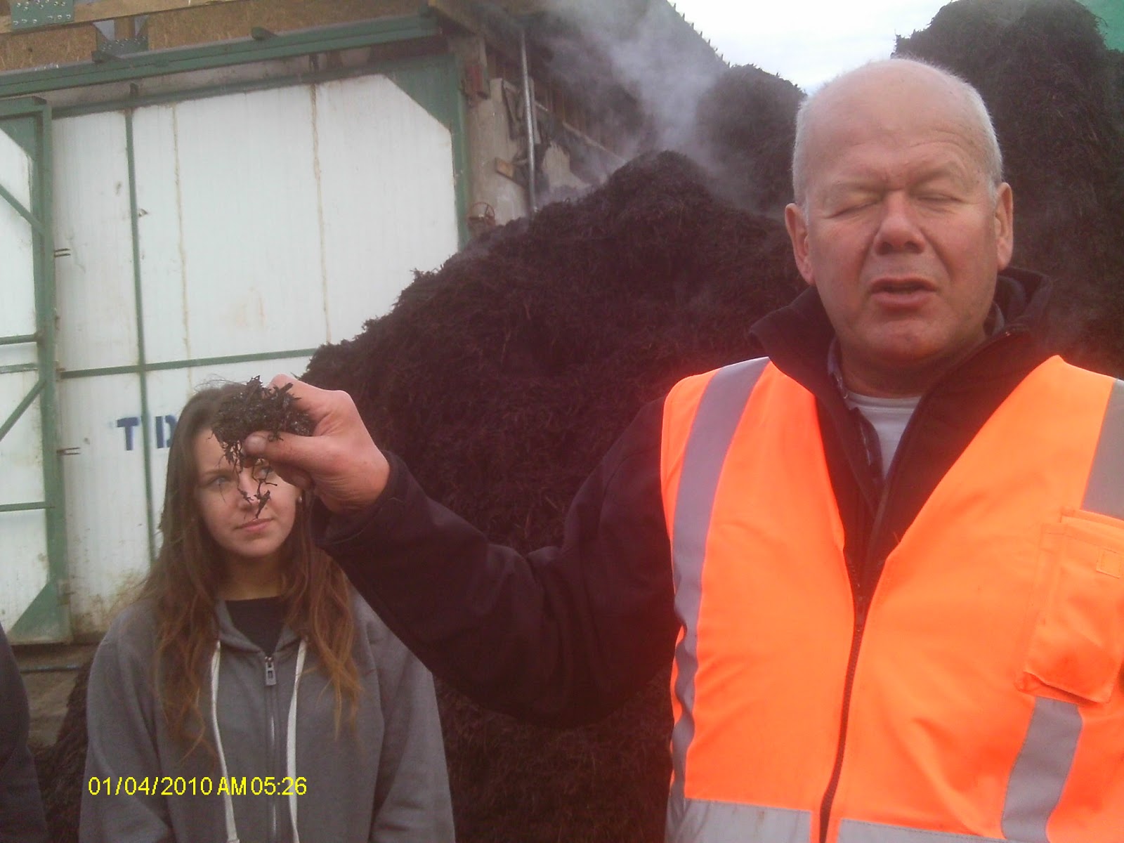 Alex Josowitz's Plus3 Chile Experience: May 14: Tools, Tomatoes, and ...