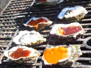 Tough Love Travel: Lighthouse at Point Reyes