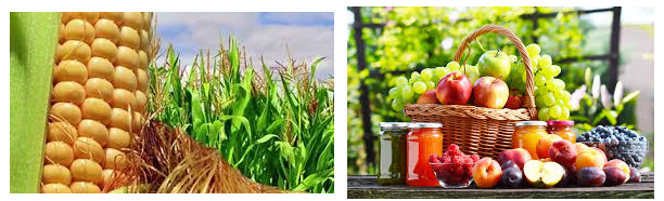 Various Types of Acid and Base Foods ~ Healty is Valuable