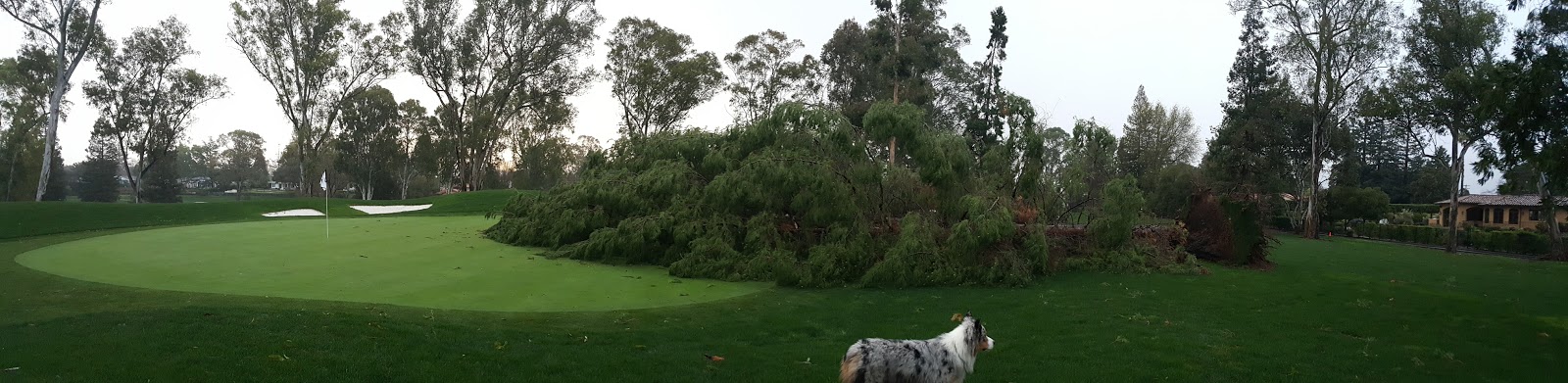 La Rinconada CC Golf Course Maintenance
