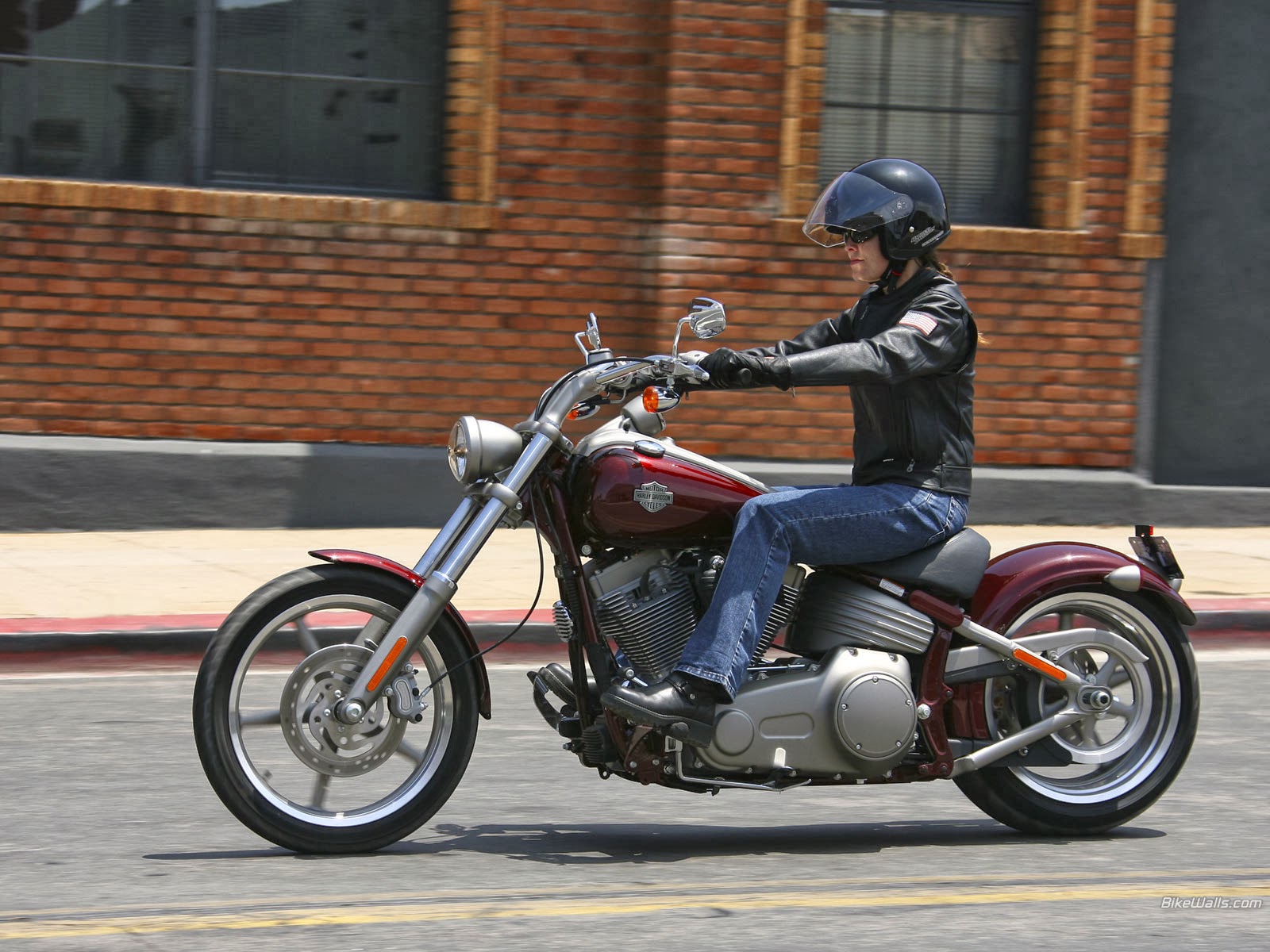 Harley Davidson FXCW Softail - Harley Davidson Motor