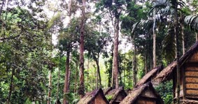 Destinasi pesona tempat wisata budaya suku baduy yang indah di banten - seni wisata budaya