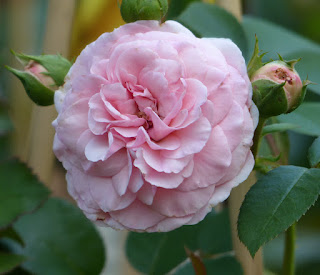 Christoph's Fotostudio: 2015