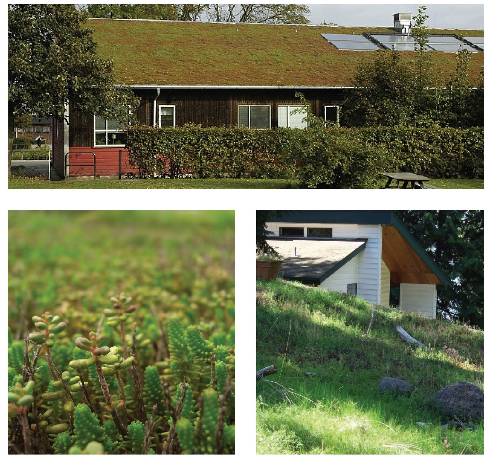 Outbuildings and Permitted Development Rights | Studio 425