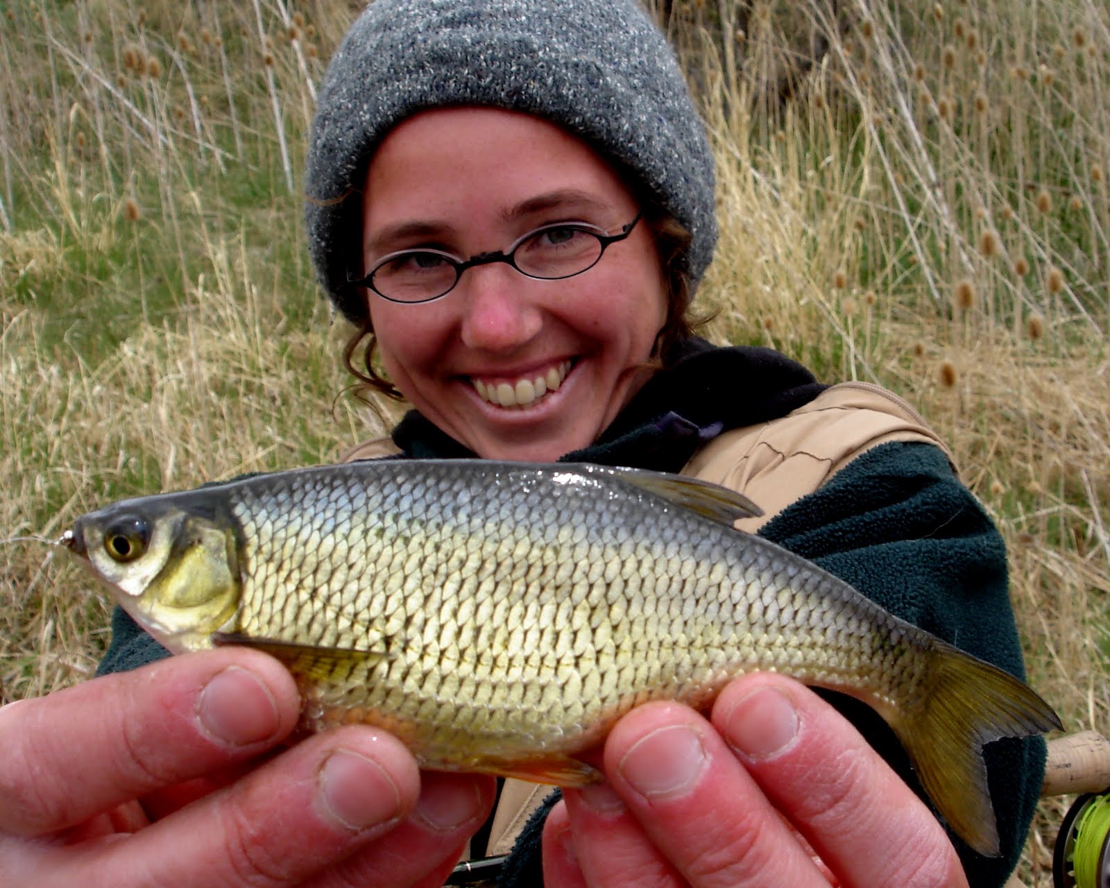 Colorado Fly Fishing Reports: Sometimes Shiners Will Have To Do…