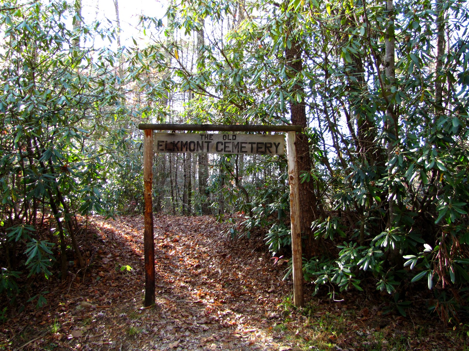 To Behold the Beauty: A Smoky Mountain Assortment
