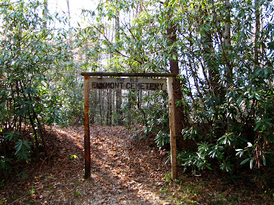 To Behold the Beauty: A Smoky Mountain Assortment