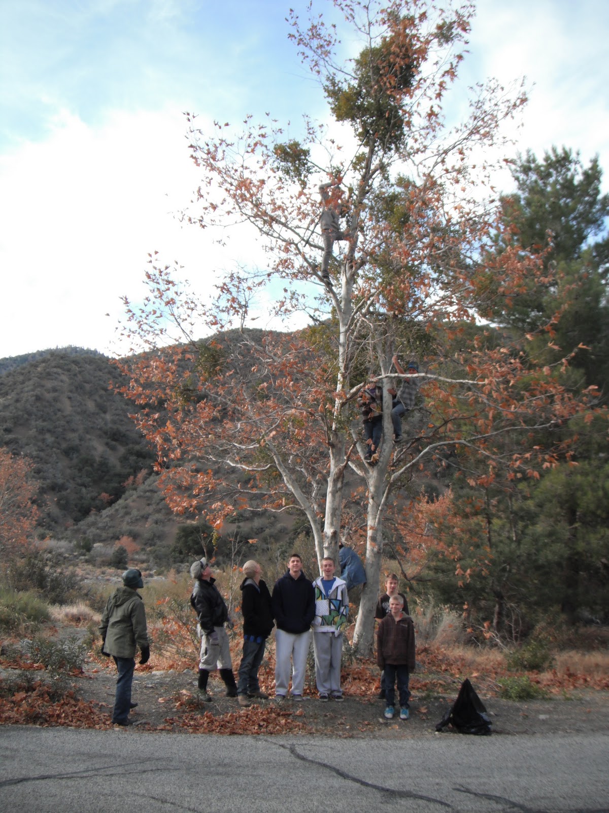 Troop 159 Wrightwood