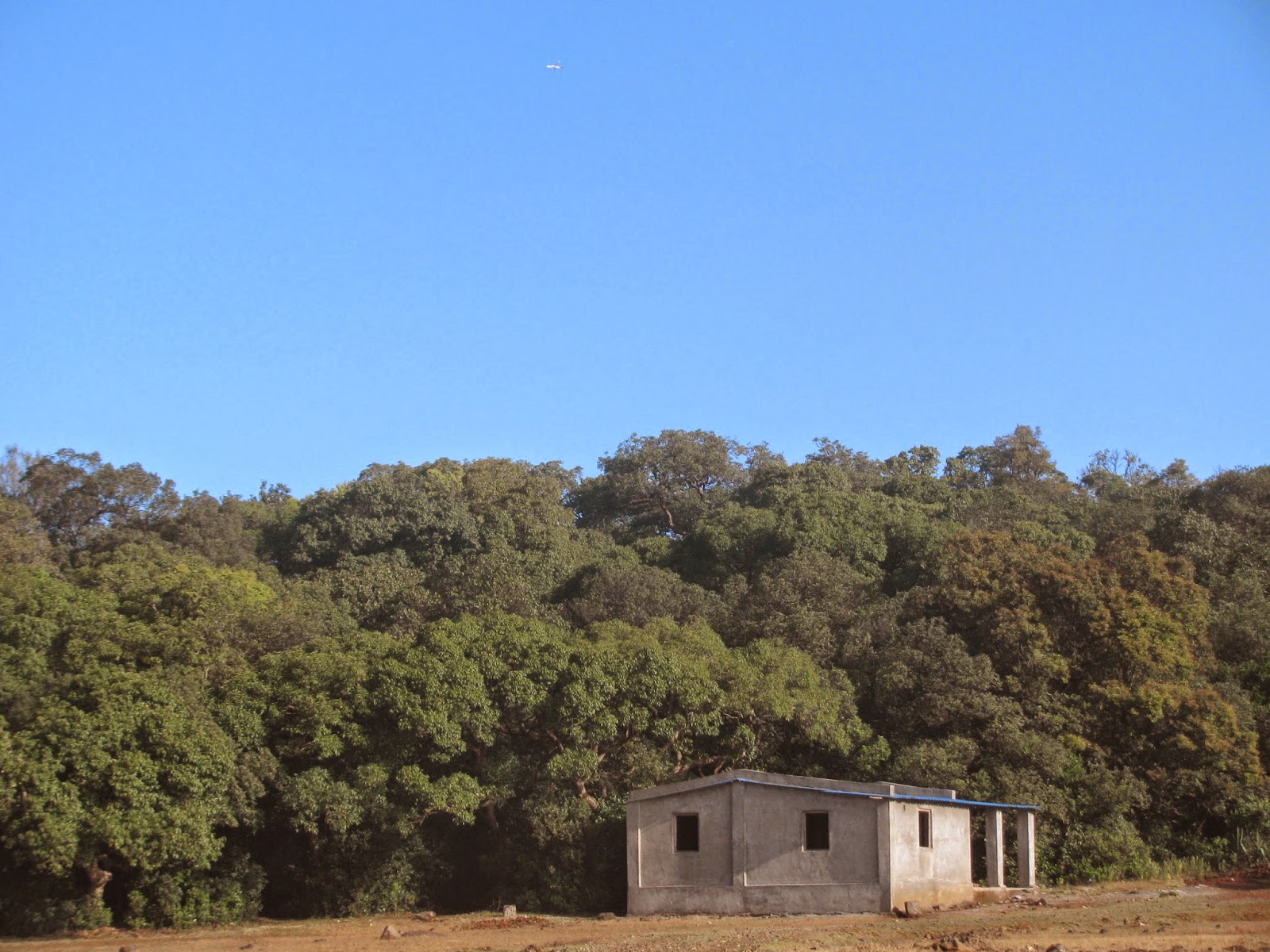 Weekend Nature Explorer: Trek Durg, Dhakoba, Amboli & Darya Ghat