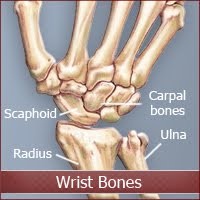 Crovetti Orthopaedics and Sports Medicine: Wrist Injuries with Dr ...
