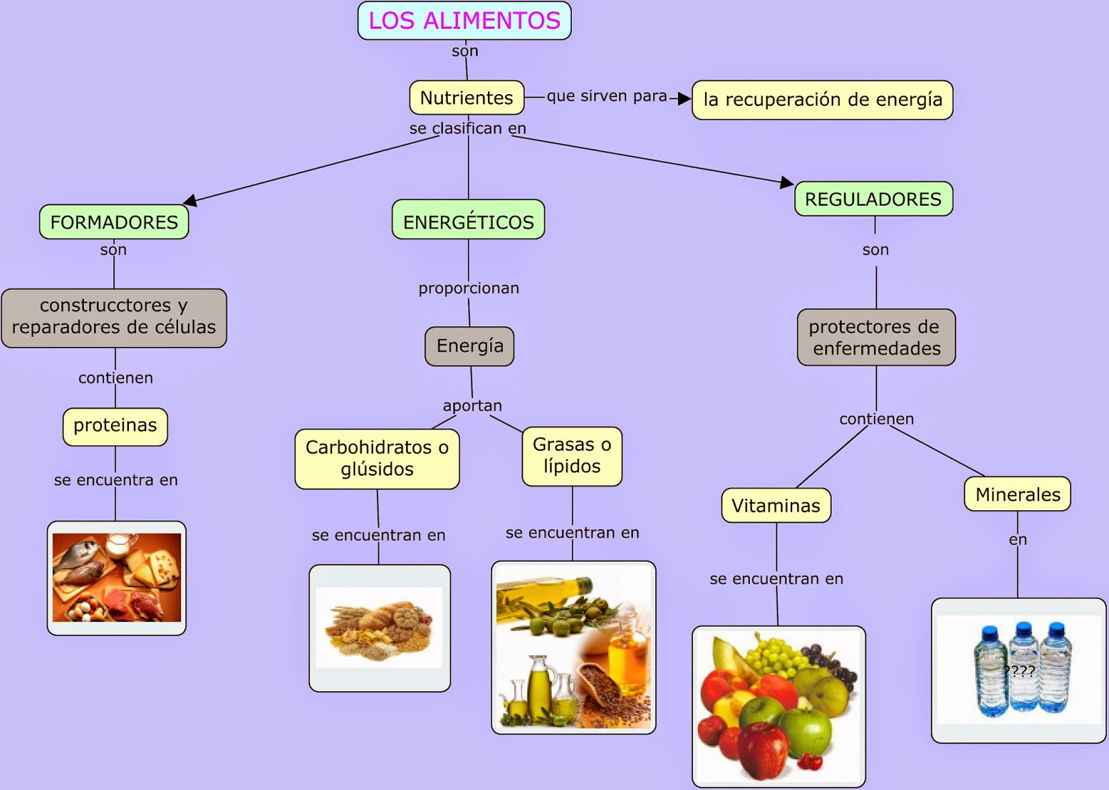 Esquema De Los Alimentos | Images and Photos finder