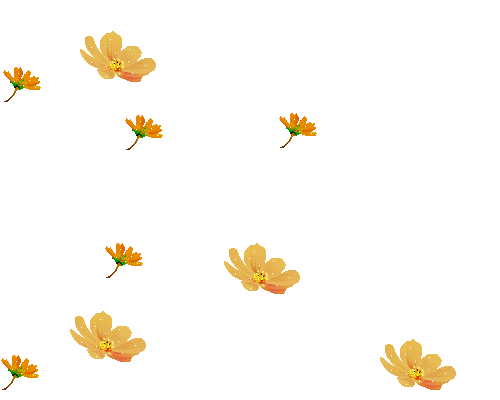 Floaties Flores e Folhas - Cia dos Gifs