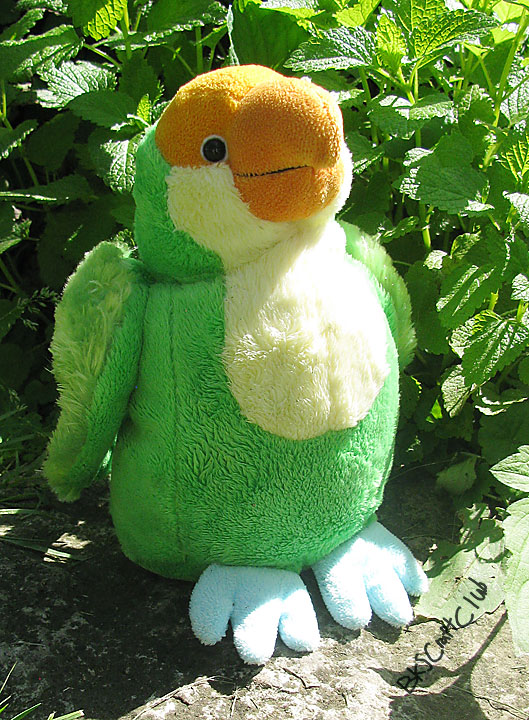 BKS Craft Club: Webkinz Wednesday