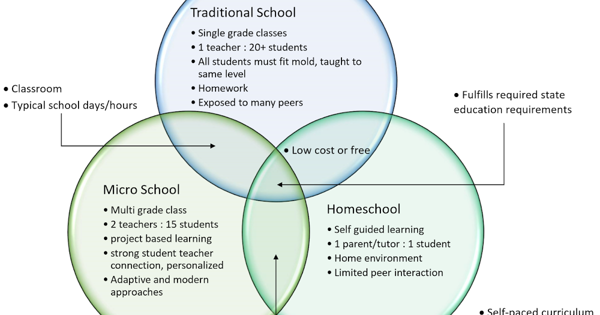 What is a micro school?