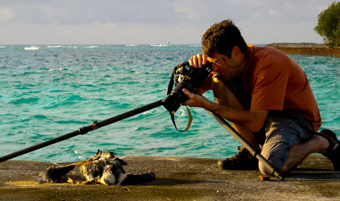 Chris Jordan, 1963 ~ Intollerabile bellezza | Tutt'Art@ | Pittura ...