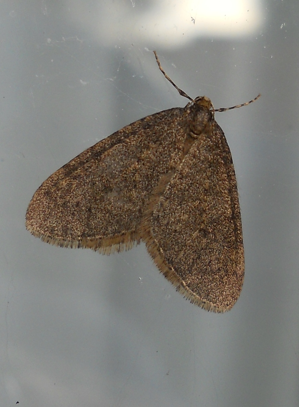 Professor P.Brain's blog: December 2011