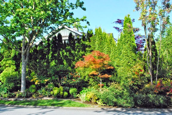 West Coast Gardens: Great Plant Combinations for Your Spring Gardens!