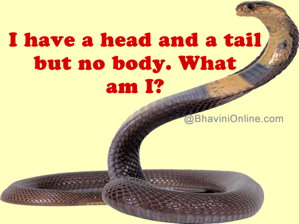 I Have Head And Tail But No Body. What Am I? | englishpodlike