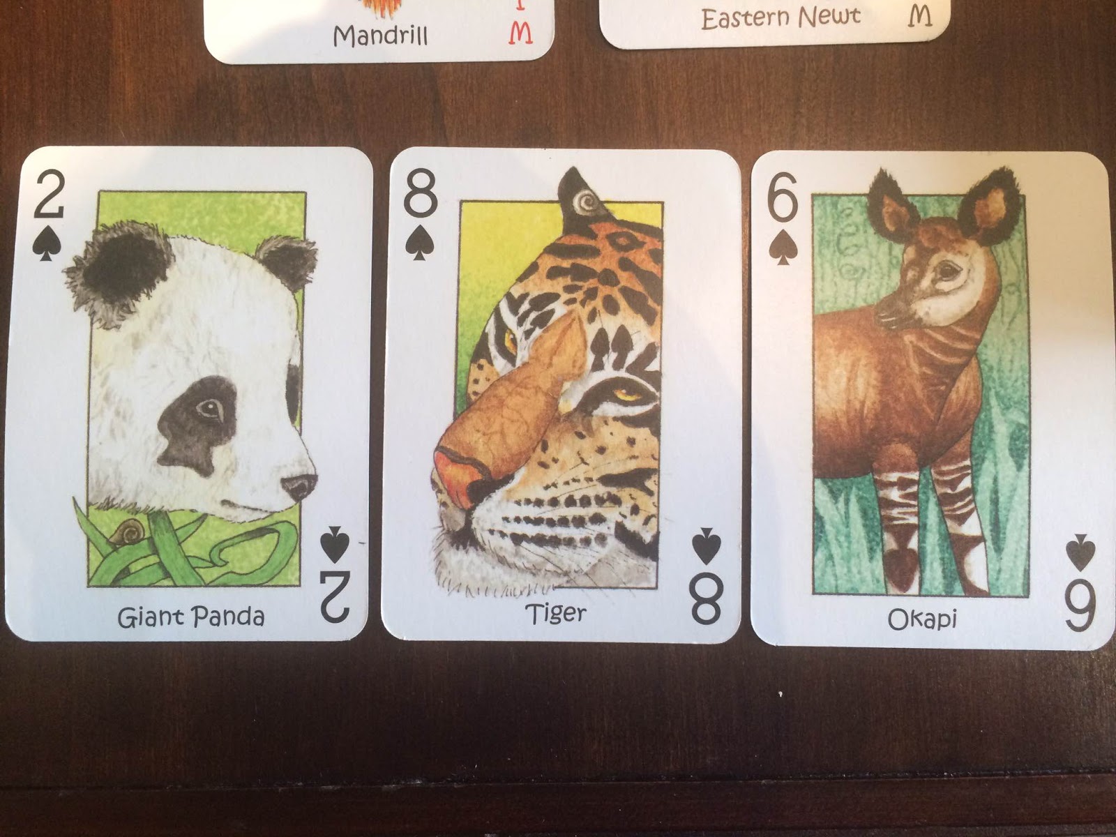 Amused by Jokers am I!: Transformational Decks of Playing Cards