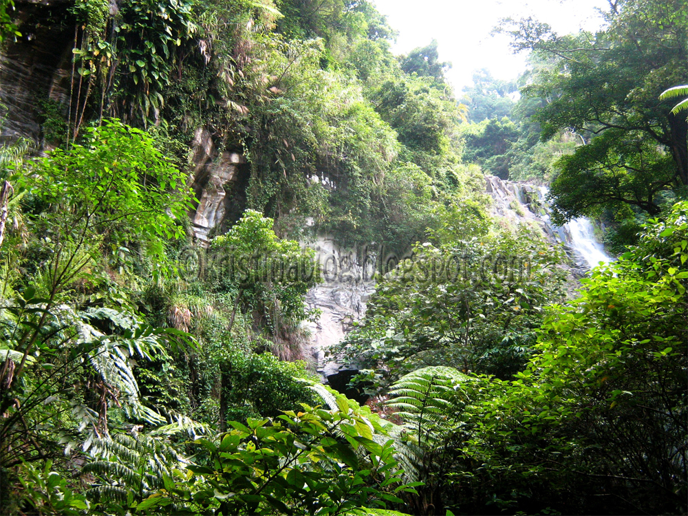 Speckles n Spectrum: Consocep Mountain Resort/Falls