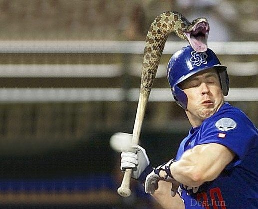 Funny Sports: Funny Baseball