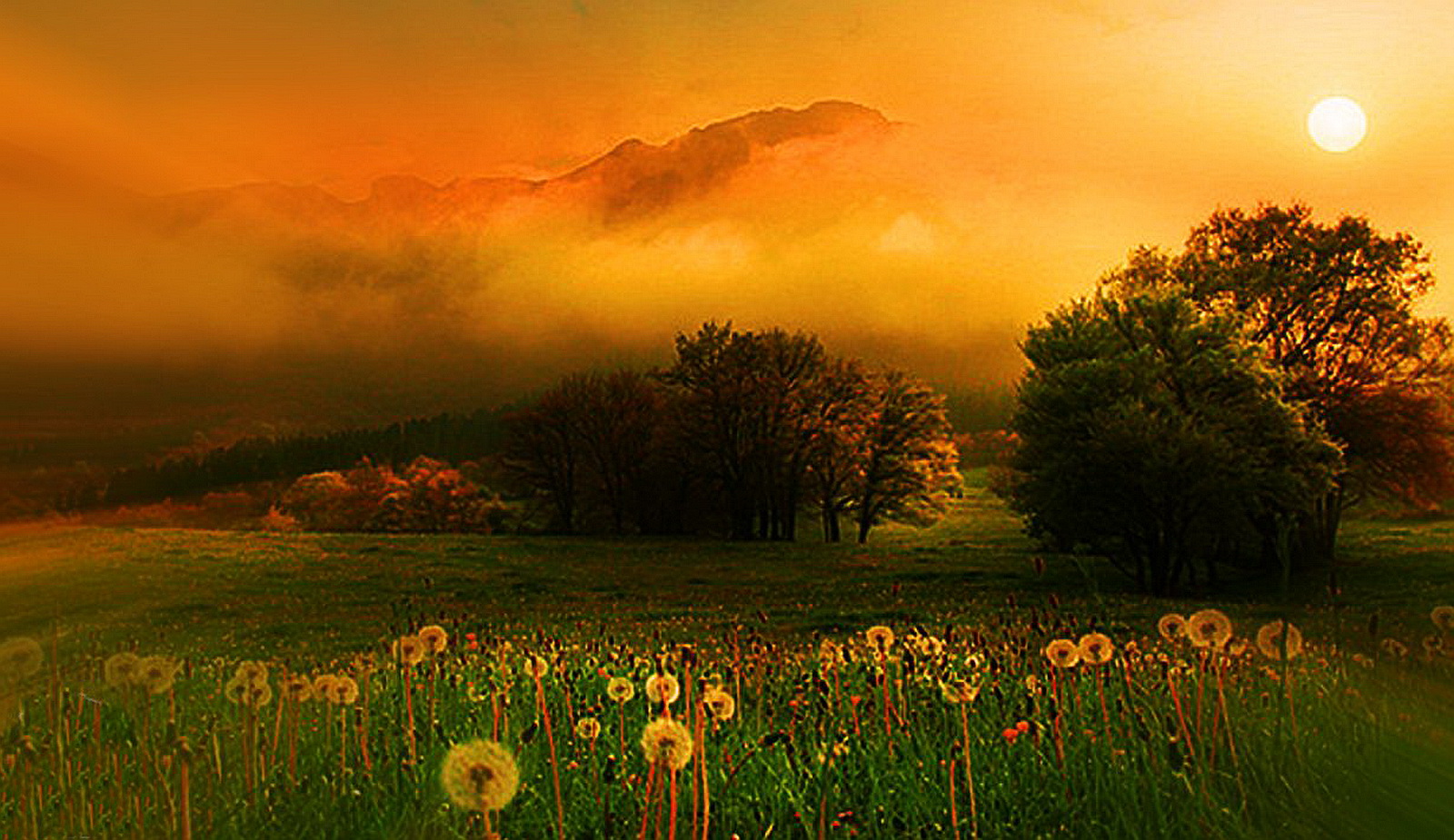 As Coisas Do Amor...: Julgar Ou Tentar Entender...