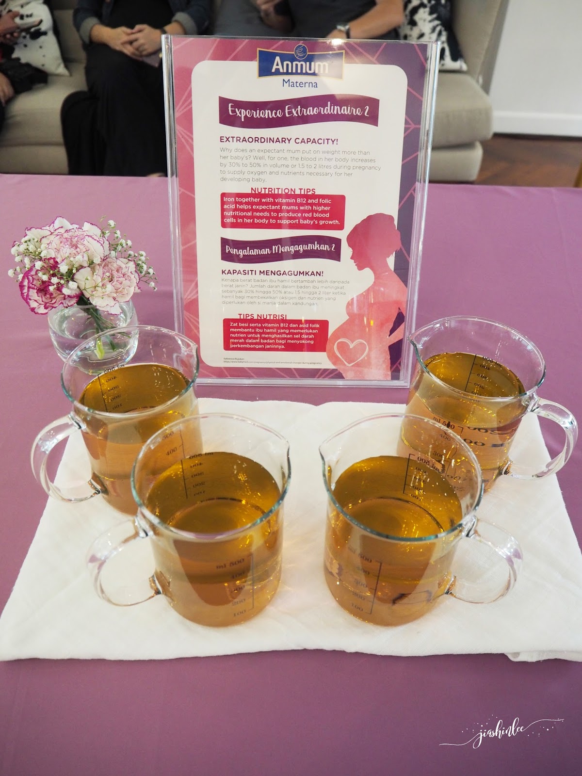 Anmum Materna Extraordinary Nourishment for Extraordinary Changes - Jia ...