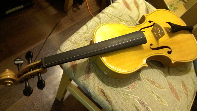 My Home Made Violin