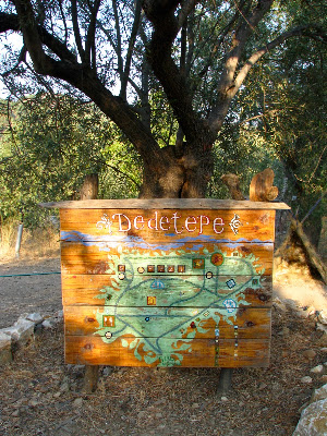 Turkish Adventures: Back to Turkey! Volunteering at an Organic Olive Farm