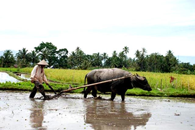 Sains Pertanian ( Mekanisasi Ladang ): Mekanisasi Ladang