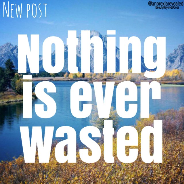 Living In Grace Blog: Nothing is ever wasted