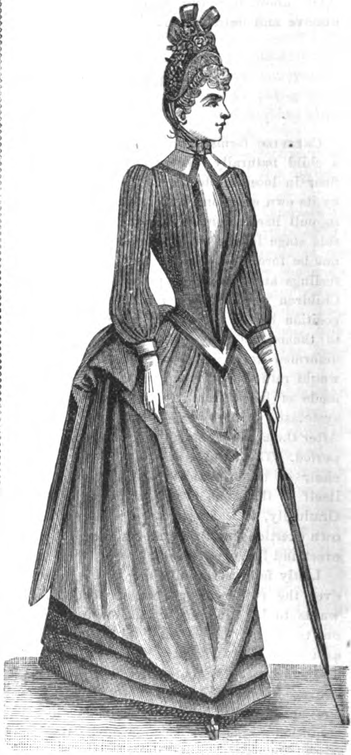 19th Century Historical Tidbits: 1889 Historic Fashions