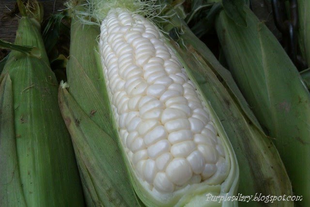 Purple's Diary: Milky Corn @ Cameron Highlands